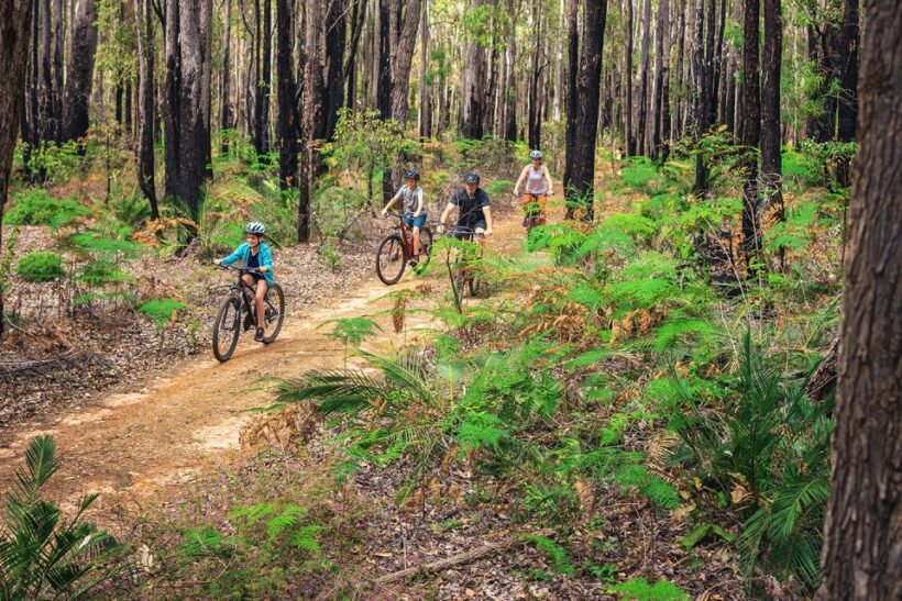 Dwellingup: Munda Biddi Explorer - What Is the Dwellingup: Munda Biddi Explorer?