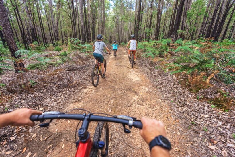 Dwellingup: Munda Biddi Explorer - The Sum Up