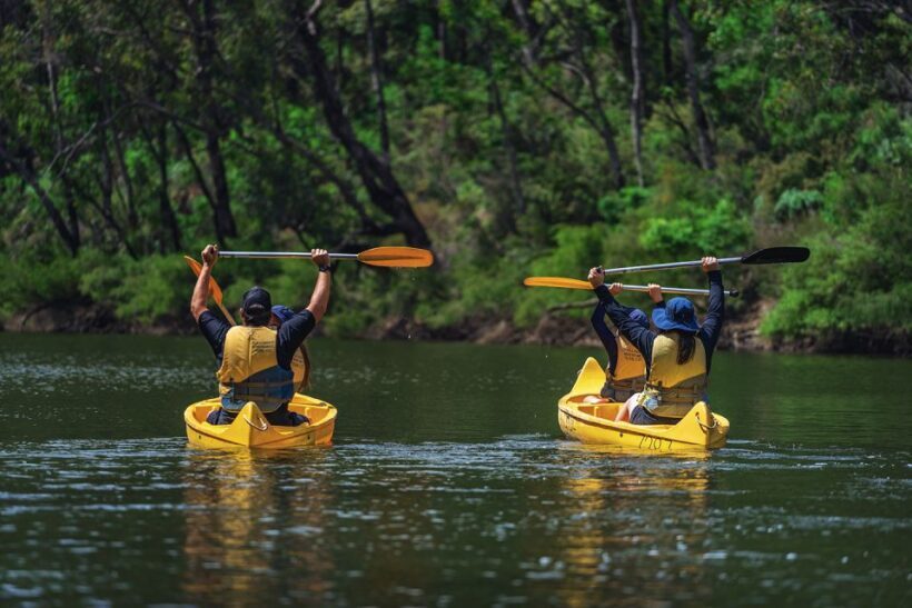 Dwellingup: Paddle 'n' Picnic Self-Guided Tour - Authentic Feedback and Real-World Insights