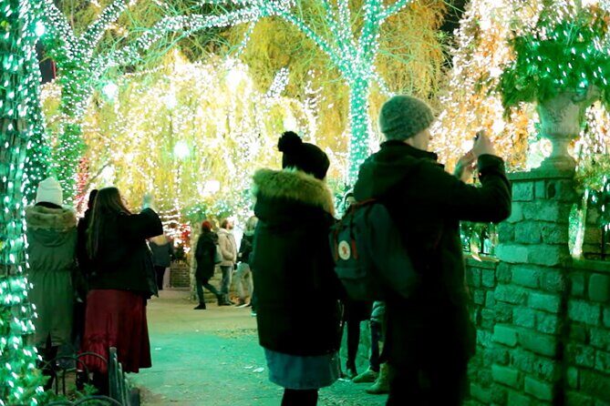 Dyker Heights Brooklyn Christmas Lights Walking Tour - Authentic Experience and Audience