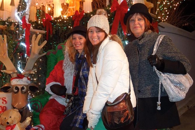 Dyker Heights Christmas Lights Tour - Who Will Love This Tour?