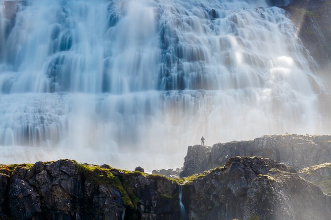 Dynjandi Waterfall & Iceland Farm Visit Tour - Who Will Appreciate This Tour?
