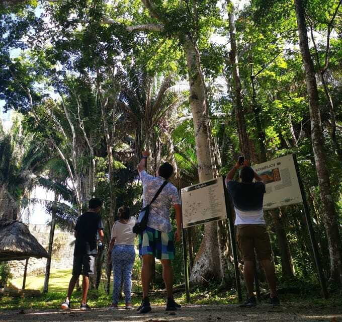 Dzibanche & Kohunlich Mayan Archeology Tour & 3 course Meal - Who Should Consider This Tour?