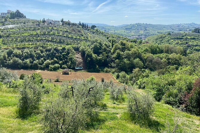 E-Bike 2.5 Hour Florence Hills With Fresh Olive Oil and Bread - Included Amenities