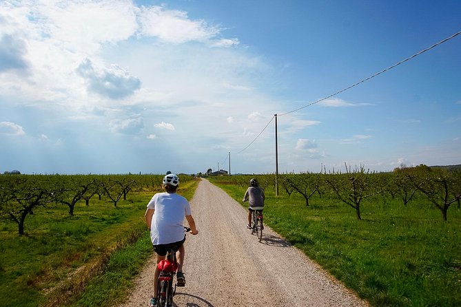 E-bike adventure among medieval castles and old villages - Key Points