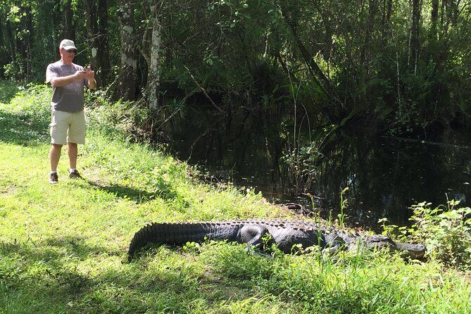 E-Bike Adventure - Fakahatchee Strand - Practical Tips and Considerations