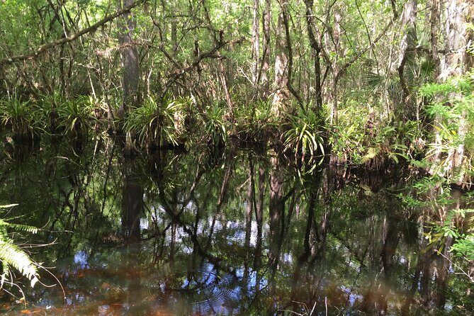 E-Bike Adventure - Fakahatchee Strand - The Sum Up: Who Is This Tour Perfect For?