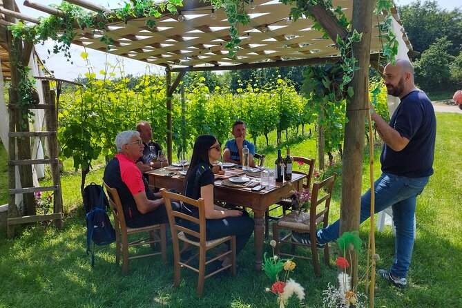 E-Bike and tour from Lonato del Garda with Wine Tasting - Key Points