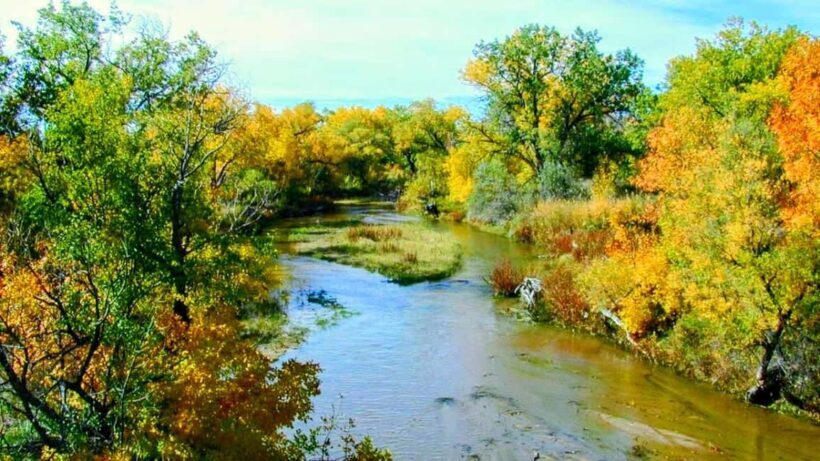 E-Bike & Brews: Denver's Platte River & Brewery E-Bike Tour - The Brewery Break: Relaxing Colorado Style