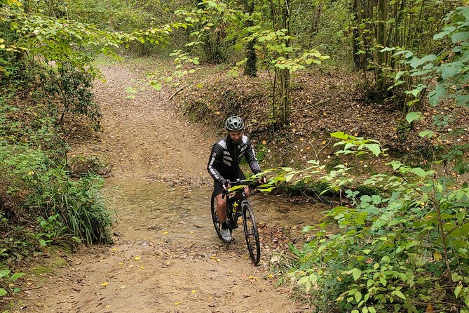 E-Bike Chianti Classico & Tuscany Tour With Wine & Lunch at Farm - Exploring the Tuscan Hillsides