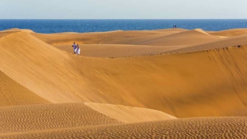 E-Bike City Tour with Camel Safari on Maspalomas Sand Dunes - FAQs