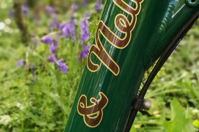 E-Bike Cycle - Western Greenway - Westport To Achill Island - Accessibility and Fitness Requirements