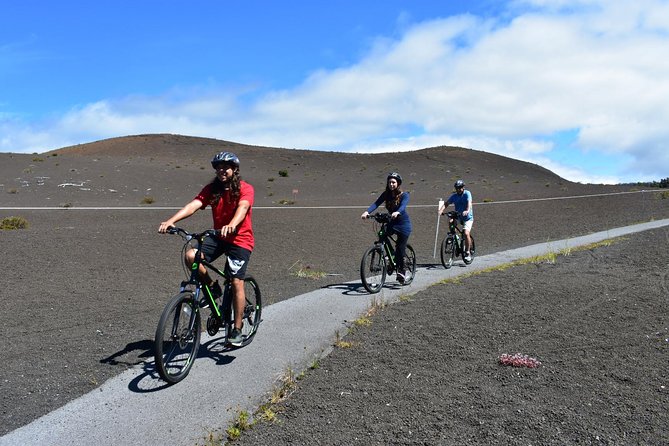 E-Bike Day Rental - GPS Audio Tour Hawaii Volcanoes National Park - Taking in Native Fern Forests