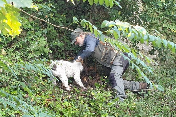 E-Bike Florence Tuscany Self-Guided Ride with Vineyard Visit - Conclusions: Who Will Love This Experience?