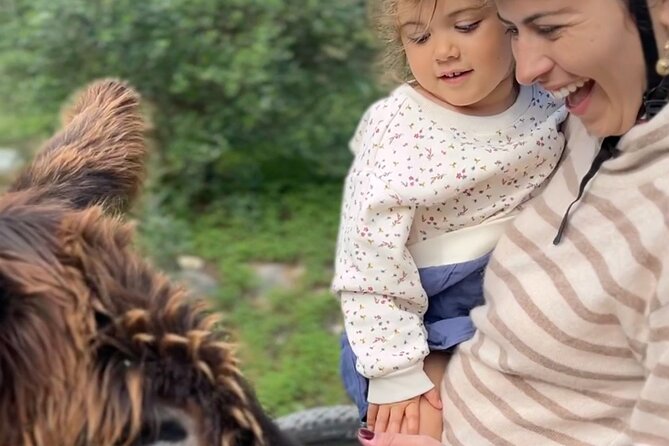 E-Bike From Sintra Mountains to Cascais Sea With Pickup in Lisbon - Accessibility and Transportation