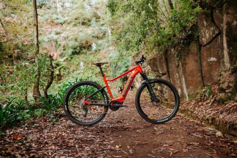 E-Bike Guided Tour - Mountain biking experience - Exploring Madeira on Two Wheels: The Essential Overview