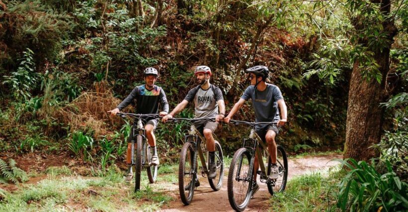 E-Bike Guided Tour - Mountain biking experience - Who Will Love This Tour?