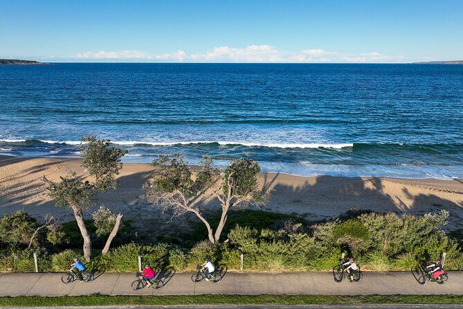 E-Bike Hire & Mountain Bike Hire Port of Eden - What Past Riders Say