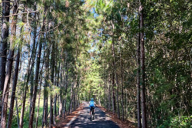 E Bike Hire - Northern Rivers Rail Trail - Self Guided Tour - The Ride and the Trail