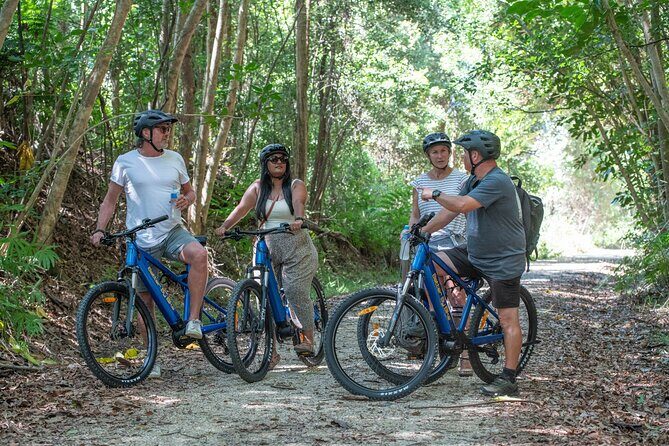E-Bike Hire: Northern Rivers Rail Trail, Trail Side Hire - Value and Price Analysis