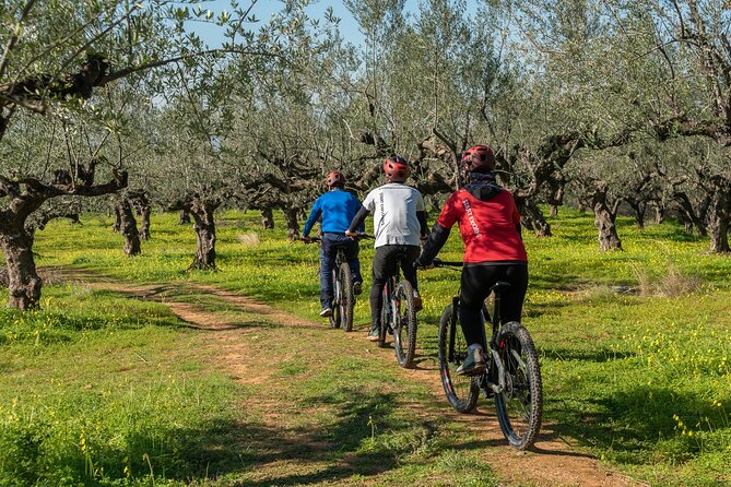 E-Bike Kalamata Olive Routes - Key Points