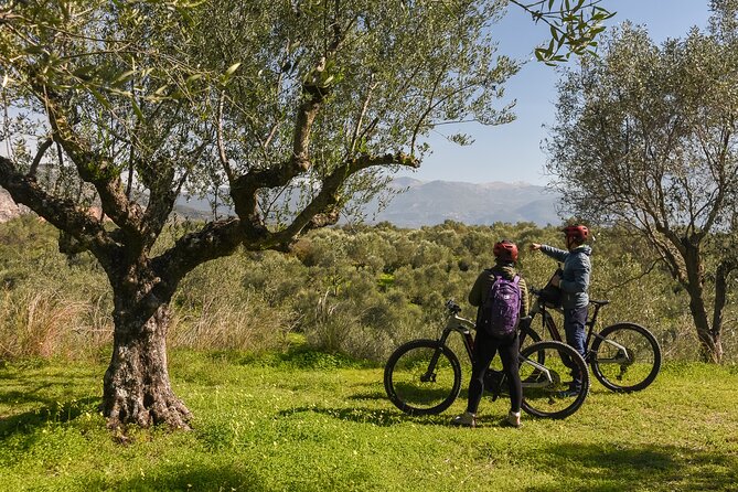E-Bike Kalamata Olive Routes - Practical Details and What’s Included