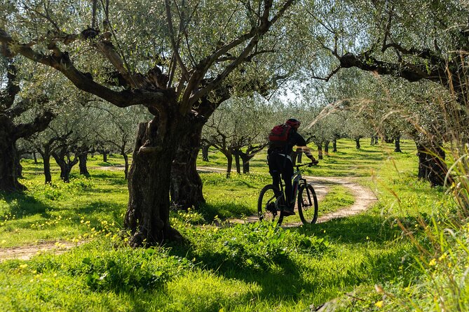 E-Bike Kalamata Olive Routes - What We Think the Tour Excels At