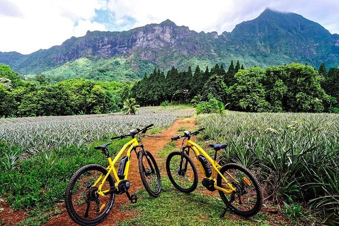 E-Bike Moorea Electric Bike Belvedere Tour (2 people minimum) - Final Thoughts