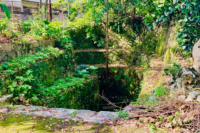 E-Bike Nature Tour in Shuri - Discover the Natural Wonders of Okinawa