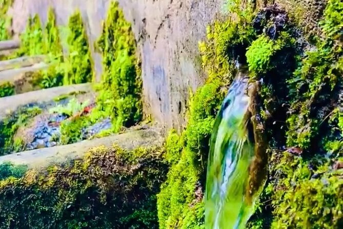 E-Bike Nature Tour in Shuri - Exploring Okinawan Culture and Traditions