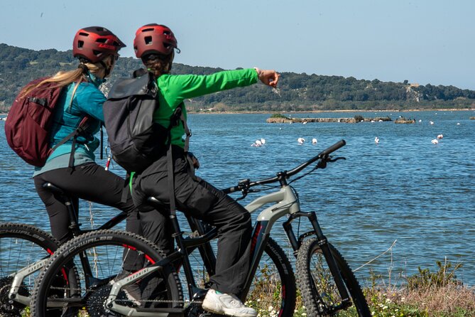 E-Bike Navarino Trail - The Sum Up