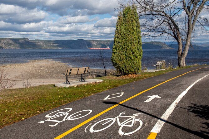 E-bike Rental - 3 hour along the shoreline Bike Path - An In-Depth Look at the Experience