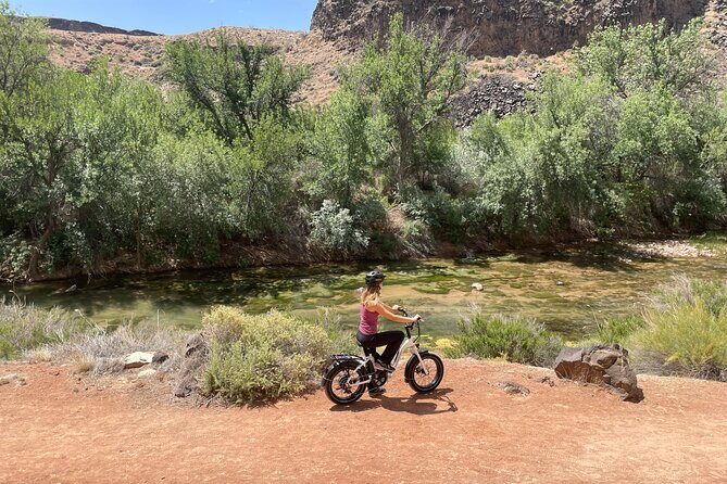E-Bike Rental - Who Will Love This?