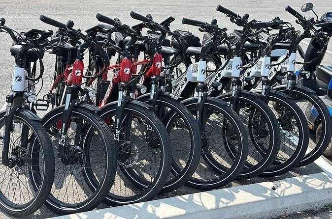 E-Bike Rental - Authentic Experiences and Traveler Insights