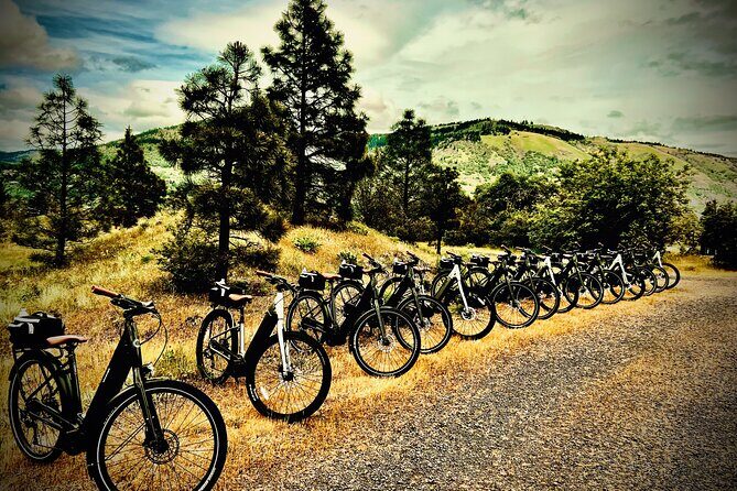 E Bike Rental in Hood River - Introduction