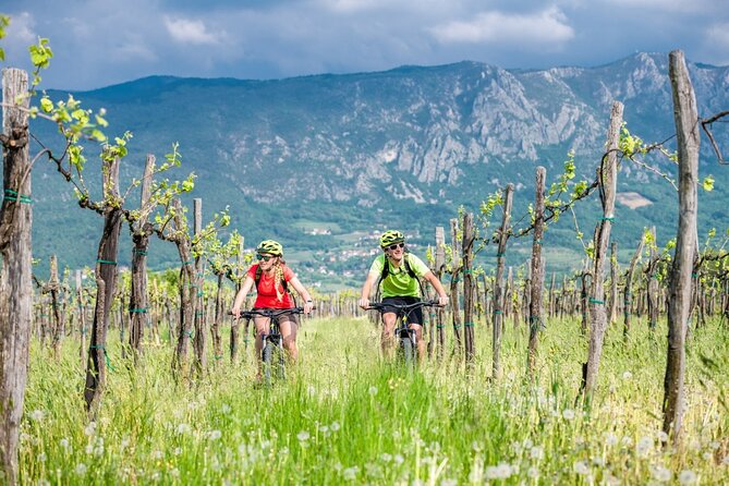 E-Bike Rental in South-West Slovenia - Exploring the Vipava Valley