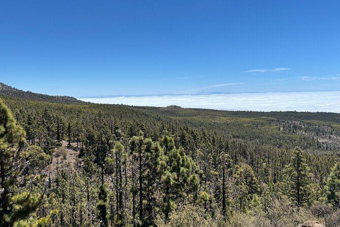 E-bike Ride at Chinyero Natural Reserve - on premium bikes - FAQ