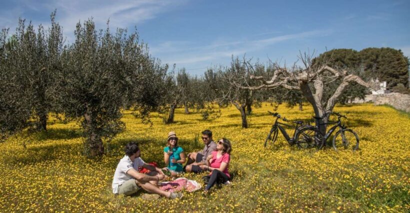 e-bike ring tour between Locorotondo and Martina Franca - What to Expect from the E-Bike Ring Tour