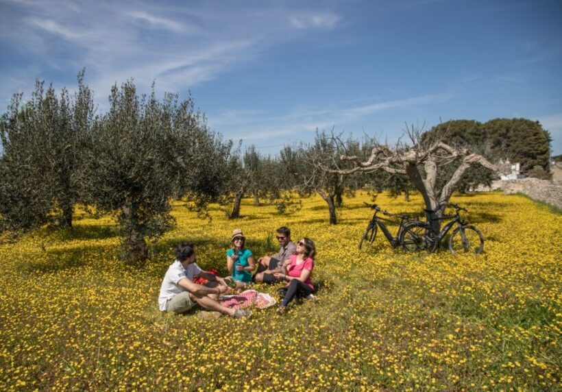 e-bike ring tour between Locorotondo and Martina Franca - The Value of the Tour