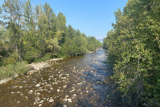 E-Bike Salmon Adventure - Authentic Experiences & Authentic Impact