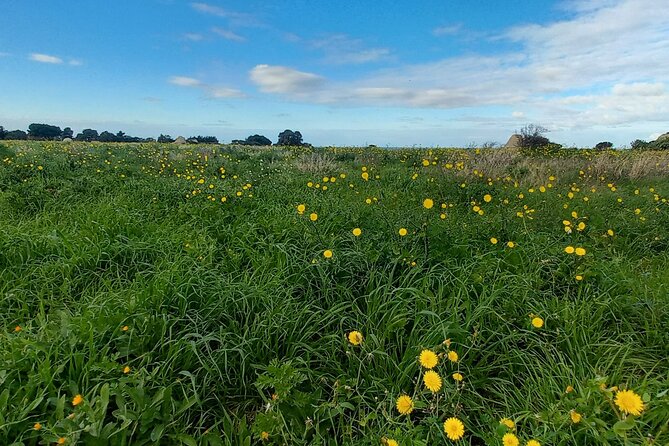 e-bike tour along the cycle path of the Apulian Aqueduct - FAQs