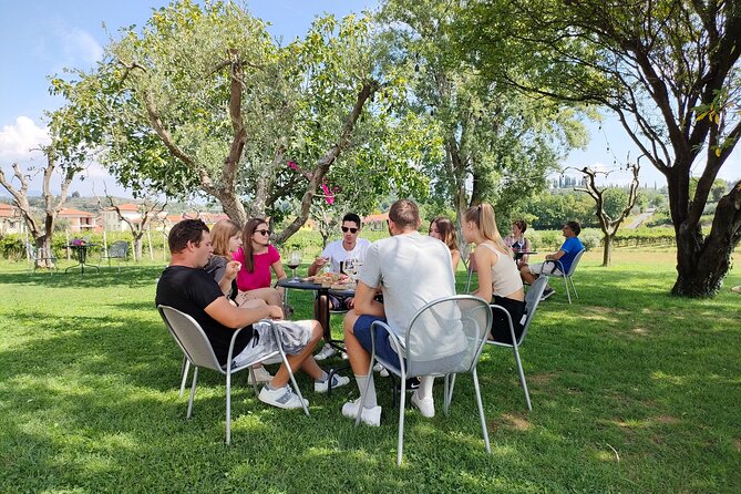 E-Bike Tour and wine tasting in Lazise Countryside - Key Points