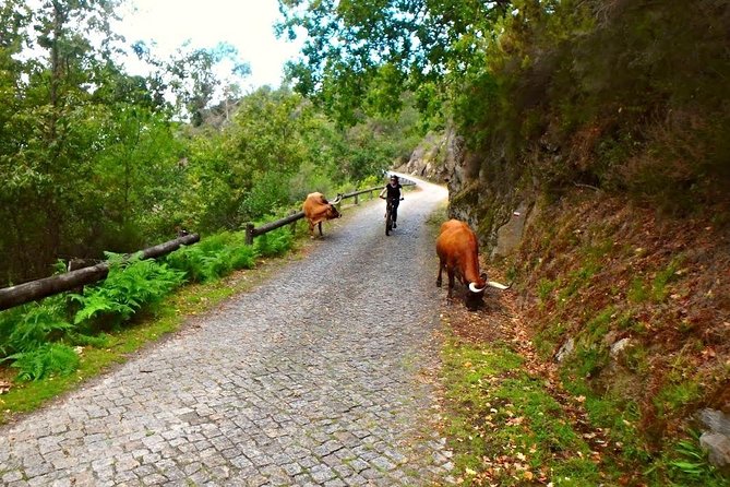 E-Bike Tour - Tour Overview