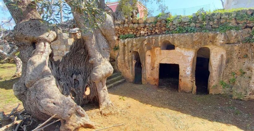 E-bike tour from Monopoli to the rocky village of St. Andrew - Key Points