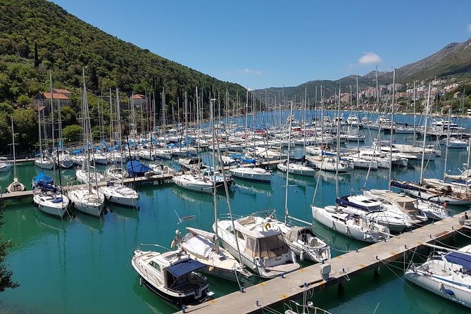 E-Bike Tour + Gourmet Snack + Wine Tasting (Small Group) - Discovering Dubrovniks Marina and Bridge