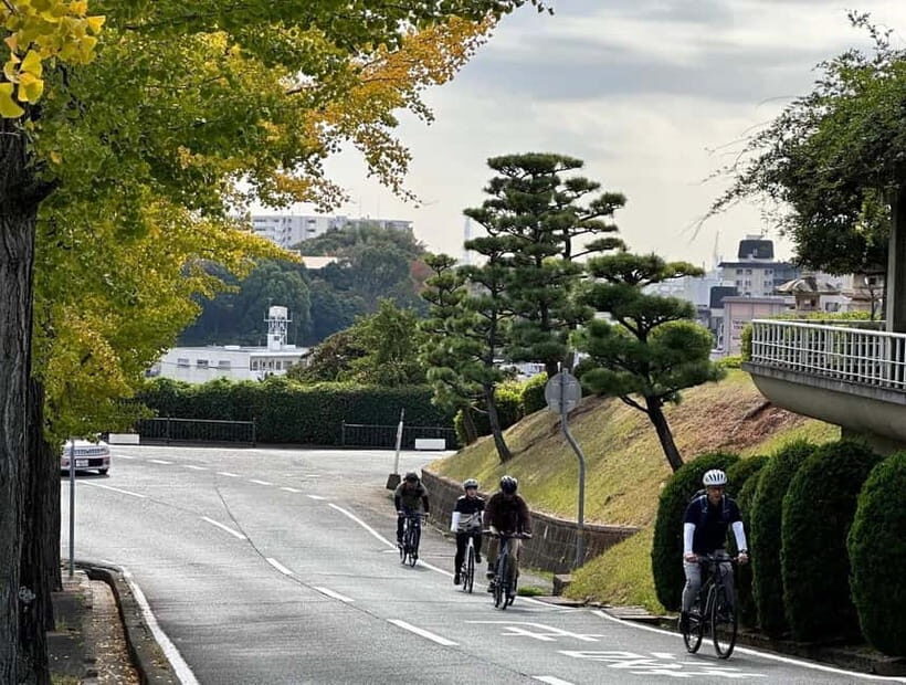 e-bike tour Himeji Castle Town along the old roads - The Sum Up: Who Is This Tour Best For?