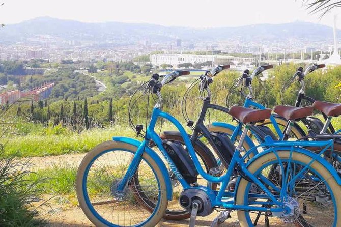 E-Bike Tour in Barcelona With English Guide - Safety and Precautions