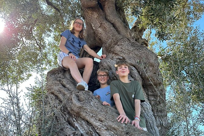 E-Bike Tour in Ostuni. Oil Mill, Dolmen and Huge Olive Trees - Exploring the Olive Oil Factory