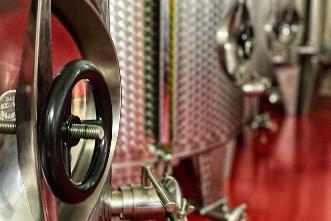 E-Bike Tour in Ostuni. Oil Mill, Dolmen and Huge Olive Trees - Discovering Ancient Dolmens