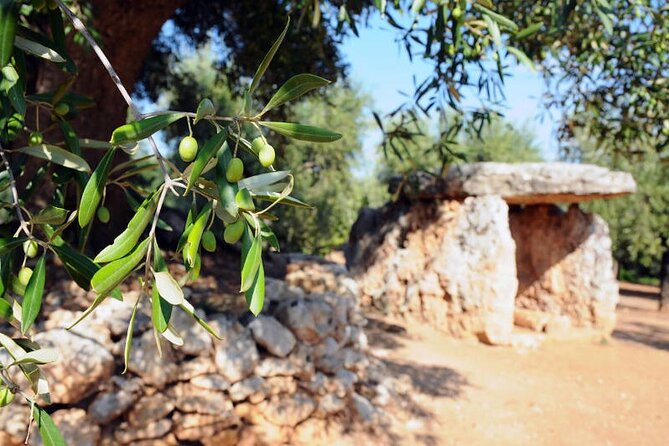 E-Bike Tour in Ostuni. Oil Mill, Dolmen and Huge Olive Trees - Frequently Asked Questions